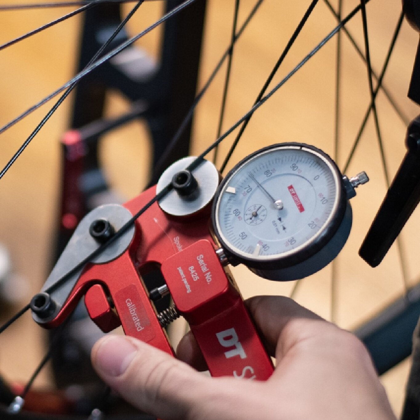 Proline Wheelbuilding | DT Swiss